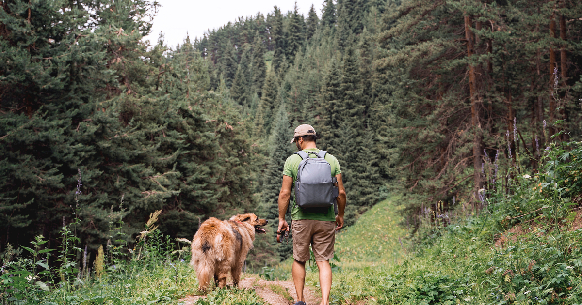 Gemeinsam in die Jahre wandern: wenn dein treuer Begleiter älter wird