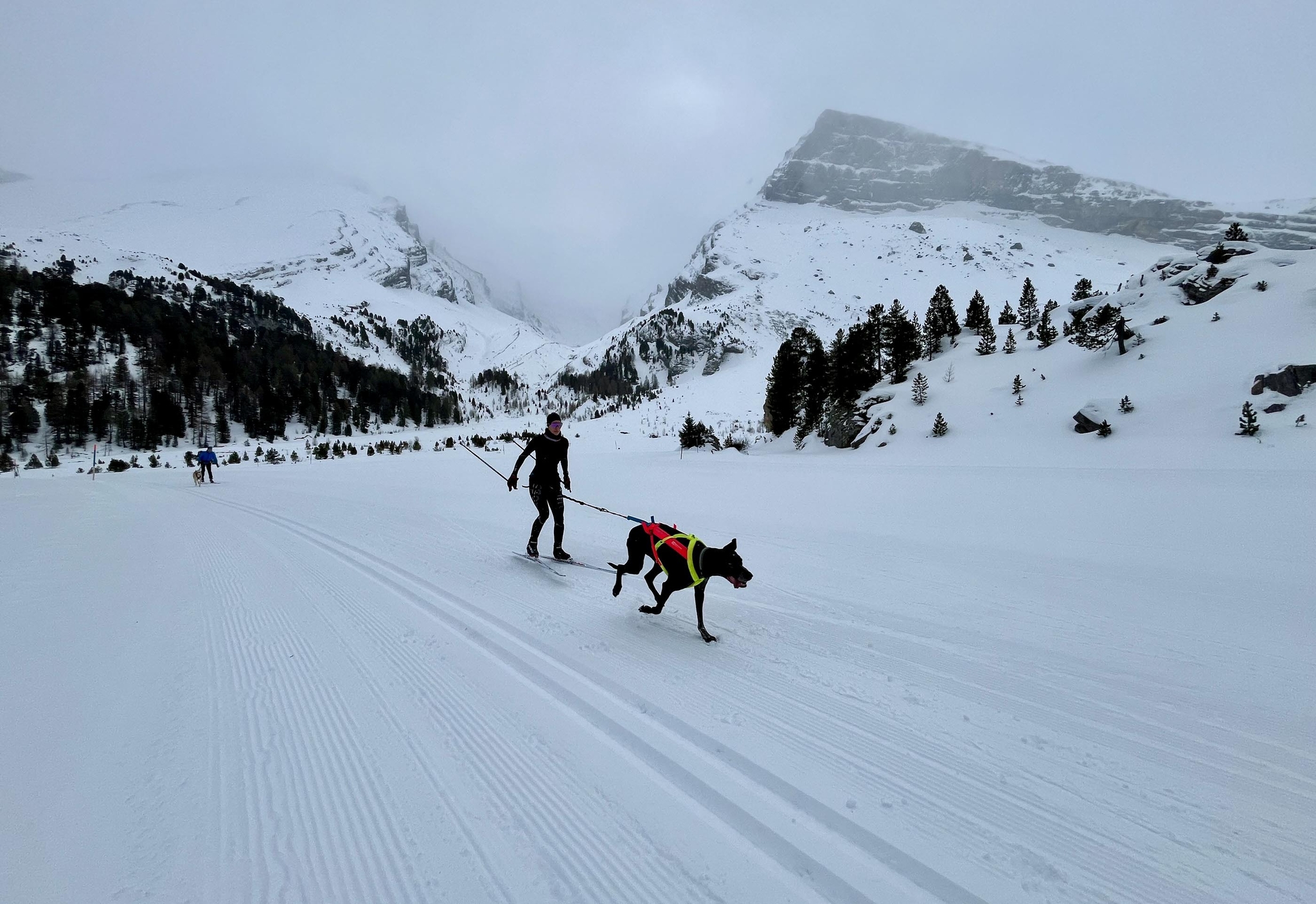 High altitude trail Sunnbüel Kandersteg