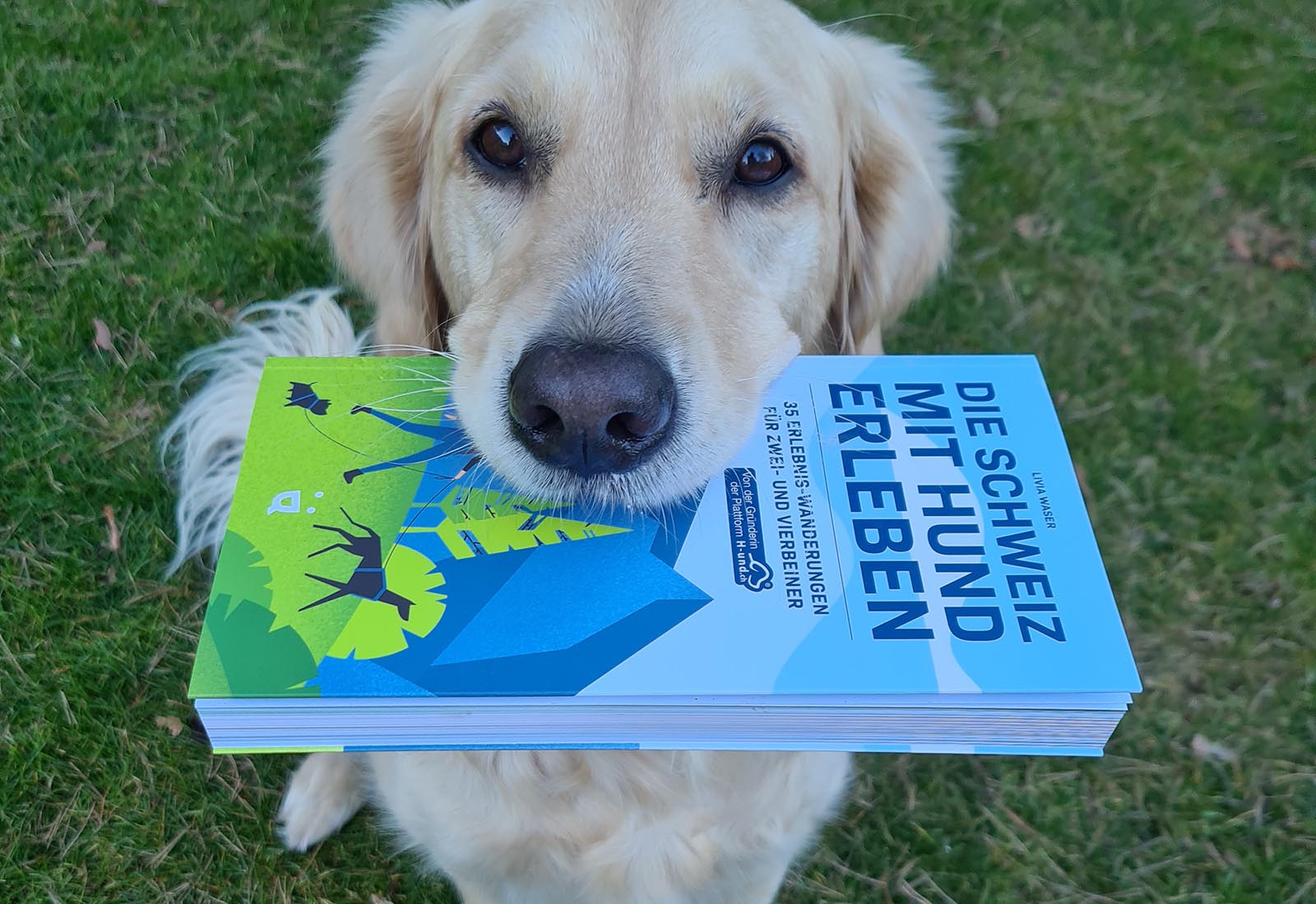 Neu: Hundebuch "Die Schweiz mit Hund erleben"