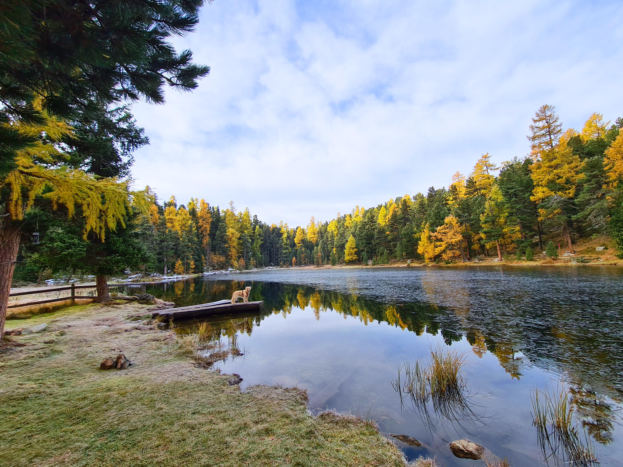 Herbst mit Hund: Die Schweiz erleben