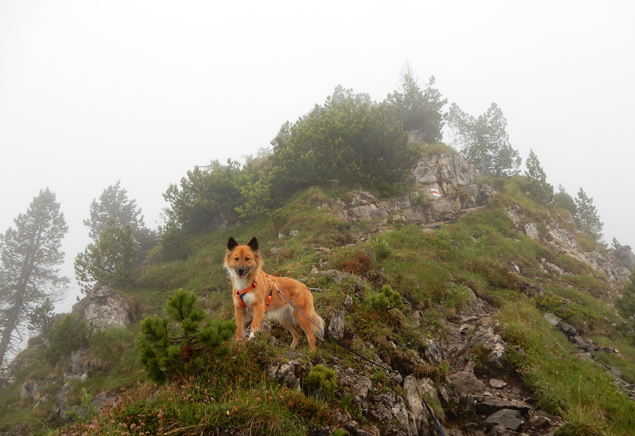 Arvigrat Rundwanderung