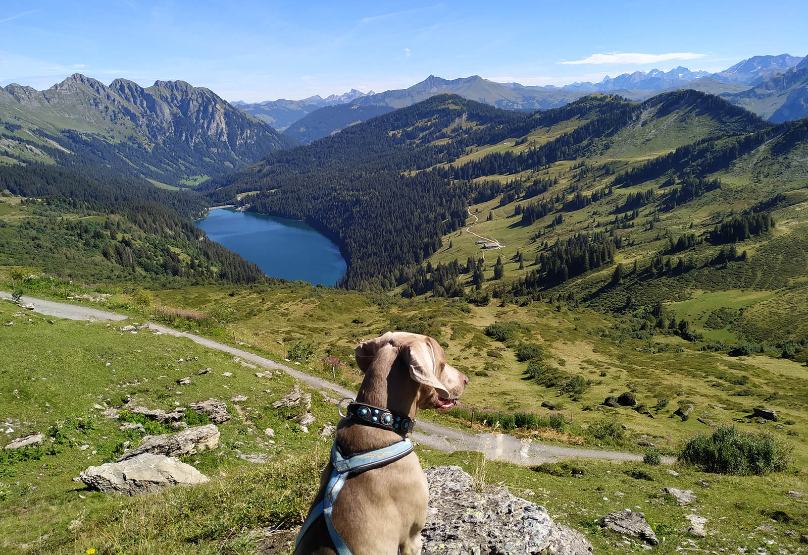 Col du Pillon - Lac Retaud Rundtour