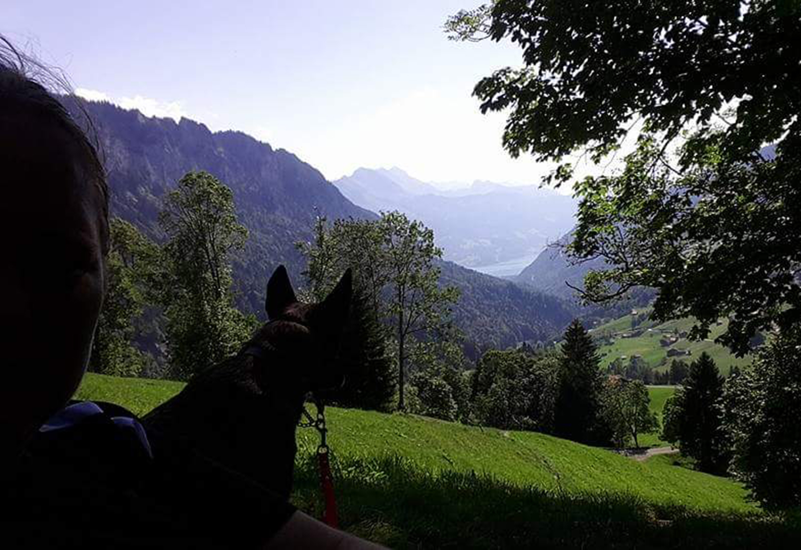 Harder Kulm - Habkern