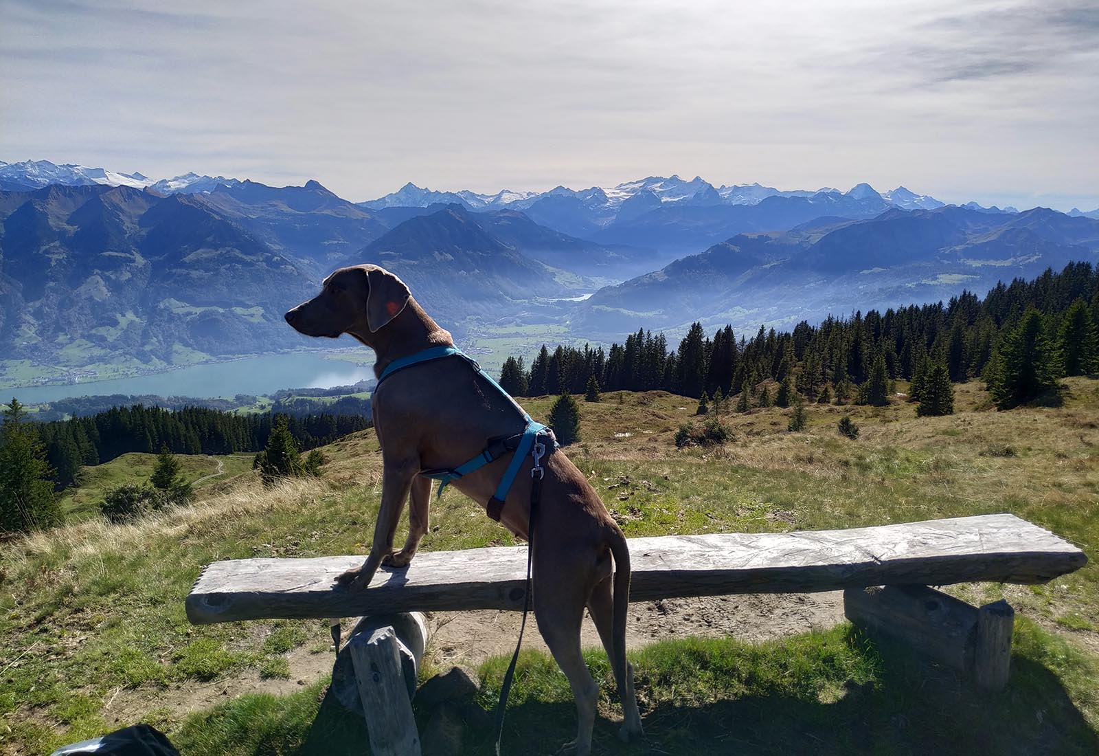 Langis Rundwanderung