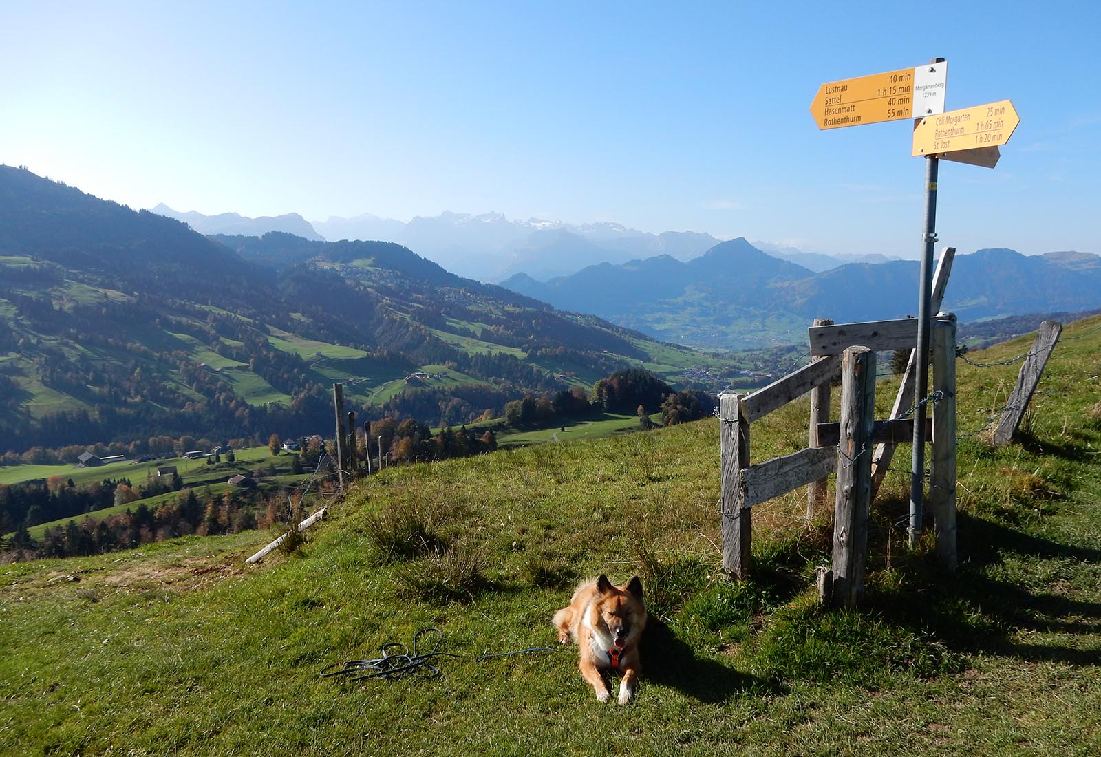 Morgartenberg Rundwanderung