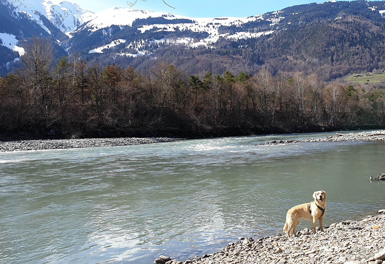 Zizers - Rhein - Rundweg