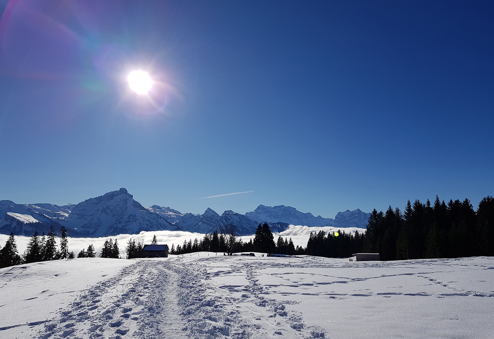 Arvenbüel - Zopf - Arvenbüel