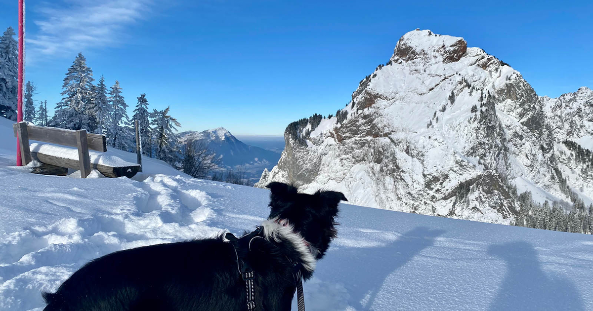 Ibergeregg - Rothenflue - Ibergeregg